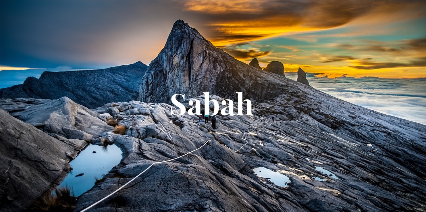 web-cover1.jpg