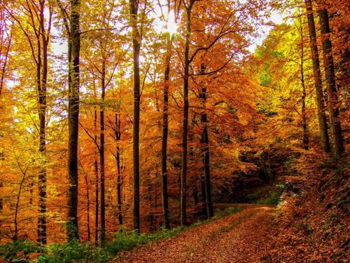 5 Most Inspiring Places to Travel to this Autumn