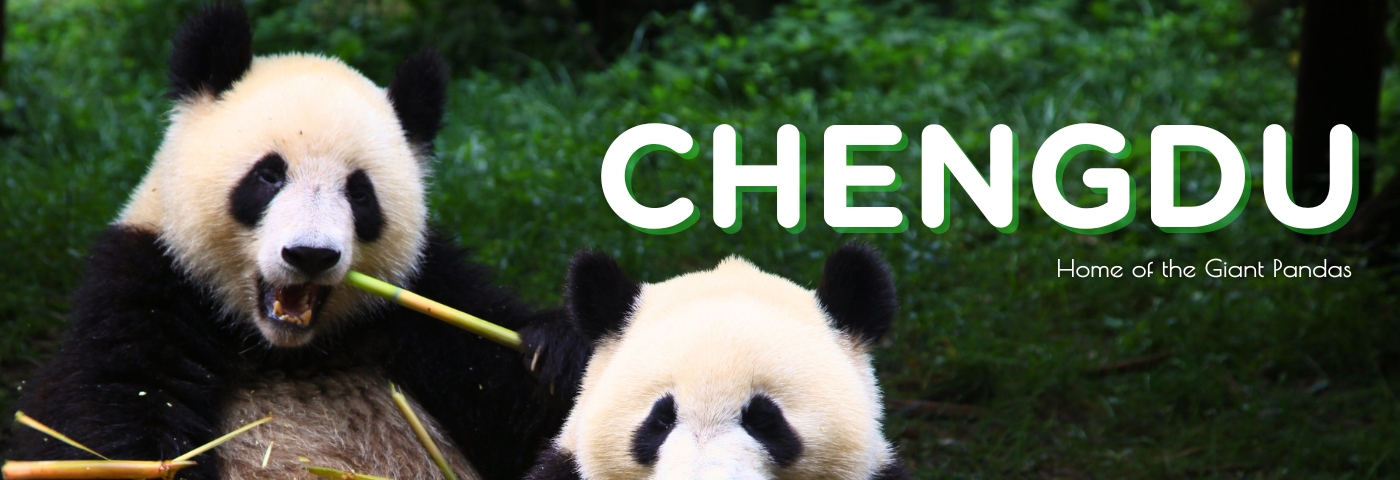Discover Chengdu