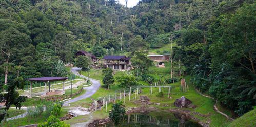 5 Amazing Farms To Experience In Bentong