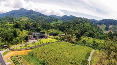 5 Amazing Farms To Experience In Bentong