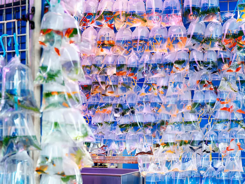 Hidden Gems of Hong Kong