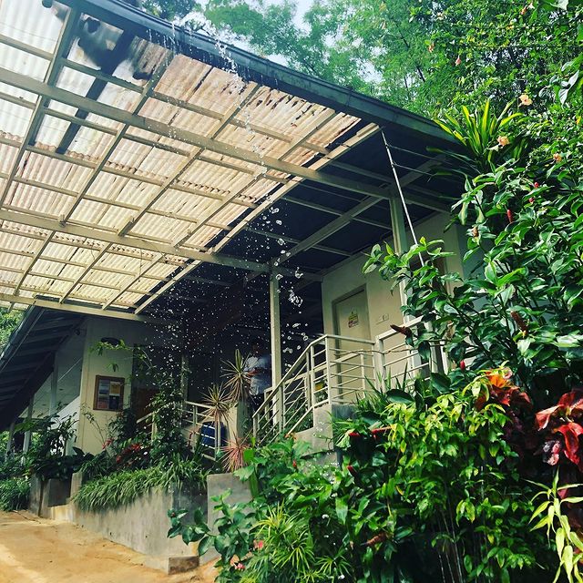 Experience An Authentic Farmstay In These Stunning Locations Across Asia