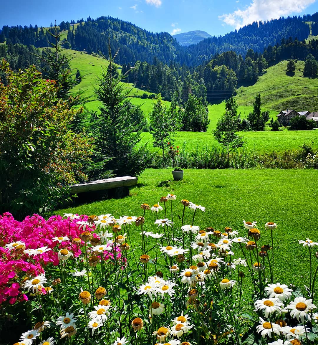 Switzerland's Most Instaworthy Green Travel Experiences