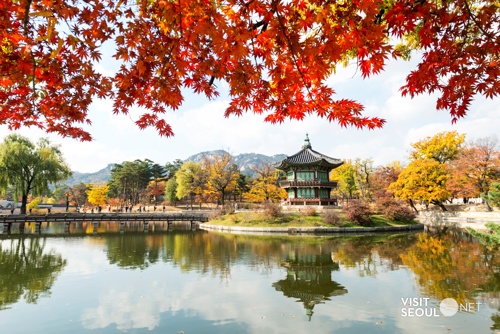 The Ultimate Autumn Guide in Seoul