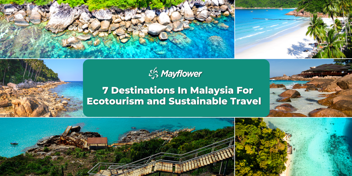 7 Destinations In Malaysia For Ecotourism and Sustainable Travel