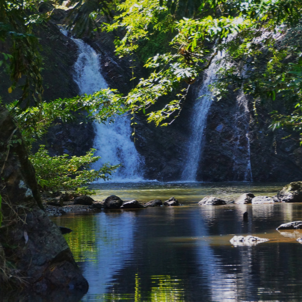 Discover Tabin Wildlife Reserve
