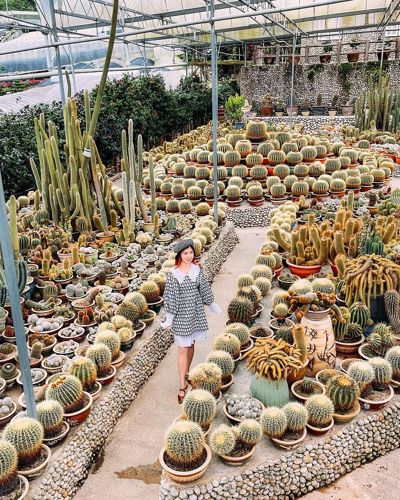 11 Places To Visit In Cameron Highlands In 2022