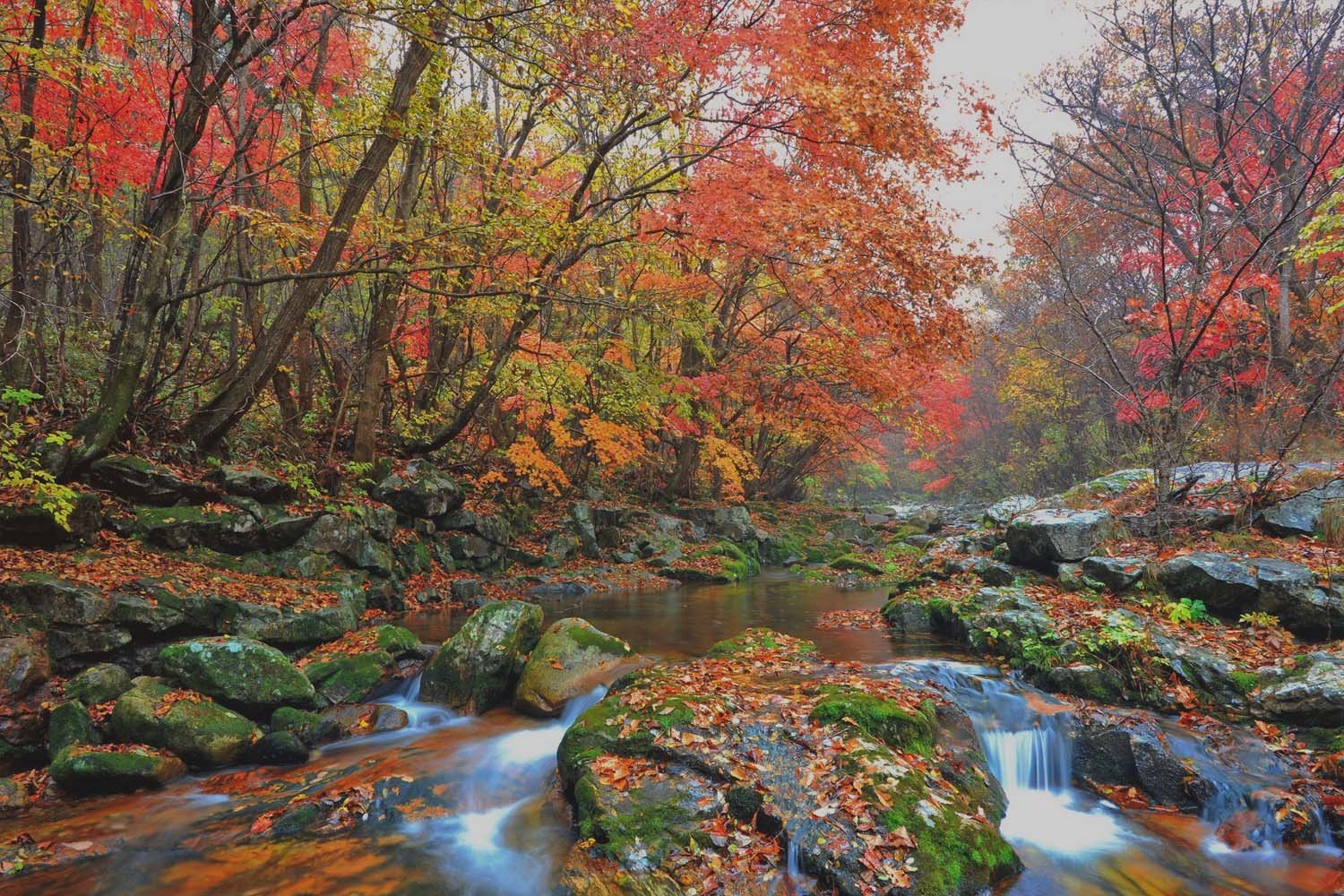 Top 10 Breathtaking Hikes in South Korea