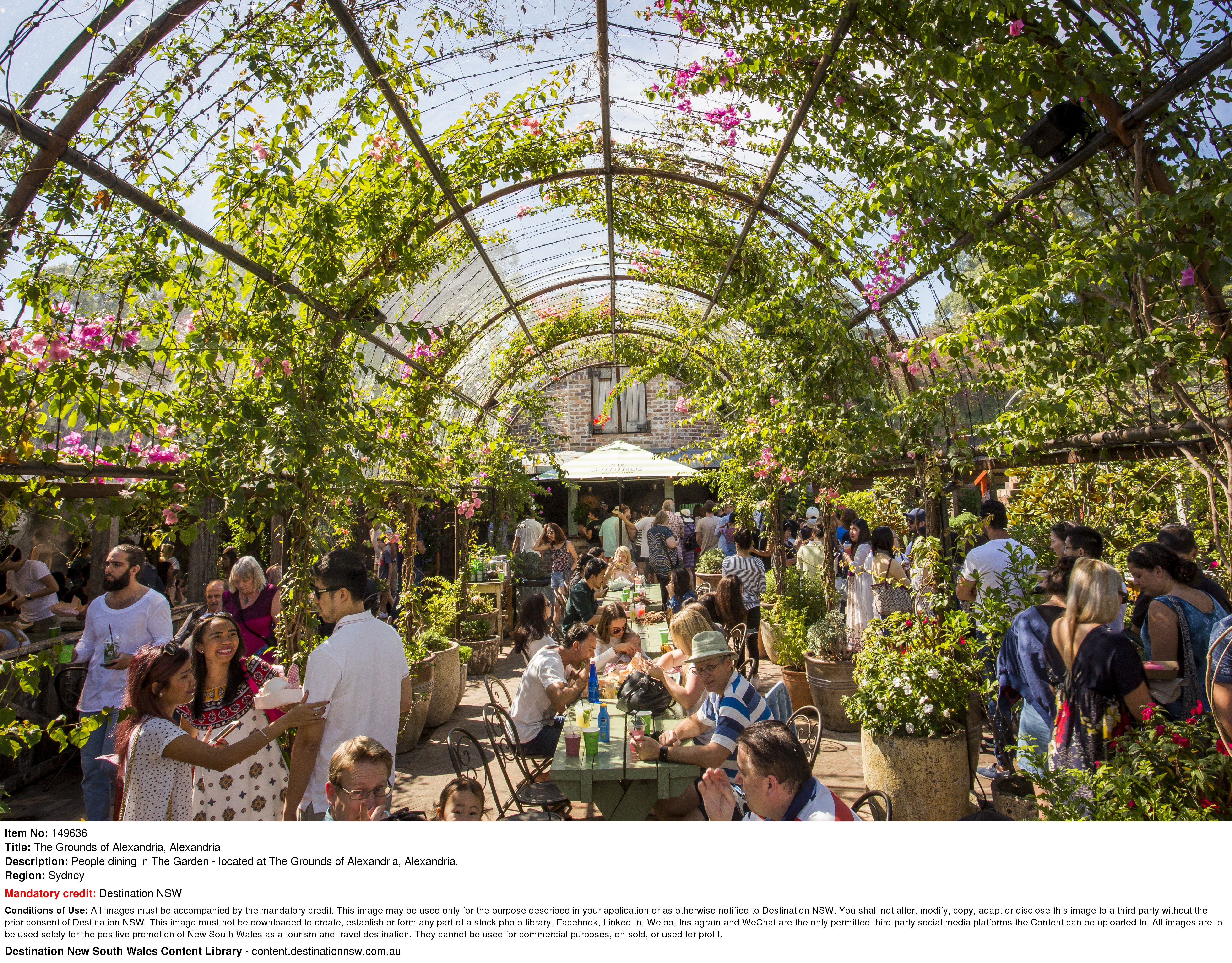 10 Instagram-worthy Cafes and Foodie Must-Visits in Sydney